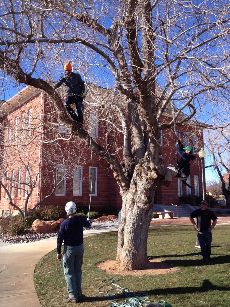 ARBOR WORKS - Updated November 2024 - 14 Photos - Salt Lake City, Utah ...