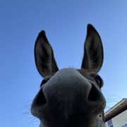 CROSS CREEK STABLES - 65 Photos - 2200 NW 192nd St, Edmond, OK - Yelp