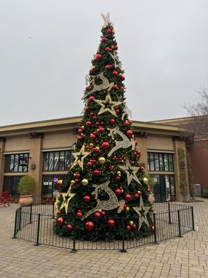 ALAMEDA SOUTH SHORE CENTER - Updated May 2025 - 294 Photos & 80 Reviews ...