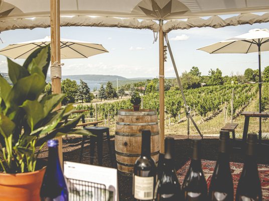 LIVING ROOTS FINGER LAKES - Updated November 2024 - 25 Photos & 10 ...