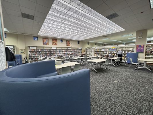 CHICAGO PUBLIC LIBRARY- NEAR NORTH BRANCH - Updated April 2026 - 42 ...