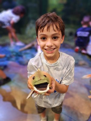 BASS PRO SHOPS - Updated December 2025 - 309 Photos & 78 Reviews ...