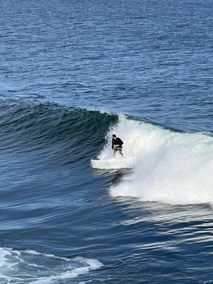 LIGHTHOUSE FIELD STATE BEACH - Updated January 2026 - 533 Photos & 127 ...