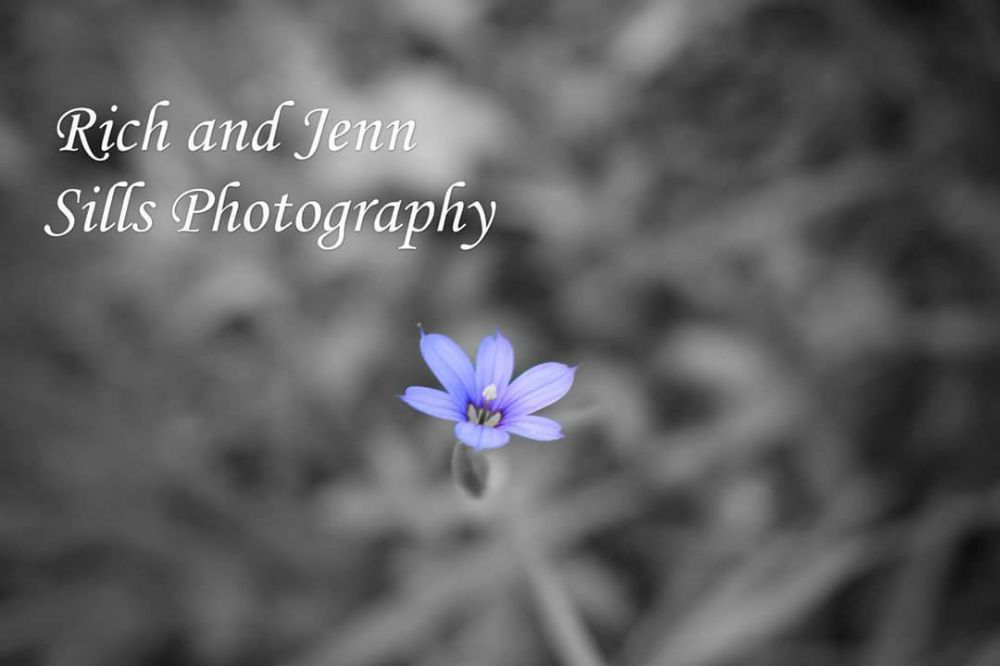 RICH AND JENN SILLS PROFESSIONAL PHOTOGRAPHY - Updated December 2025 ...