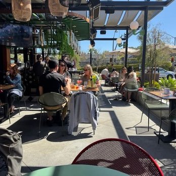 RUSTIC ROOT - Updated July 2025 - 165 Photos & 111 Reviews - 343 Hwy ...