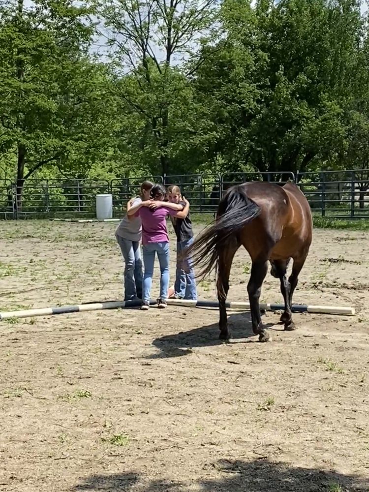 CROSSROADS RANCH - Updated November 2024 - 6740 McFarren Rd, Gosport ...