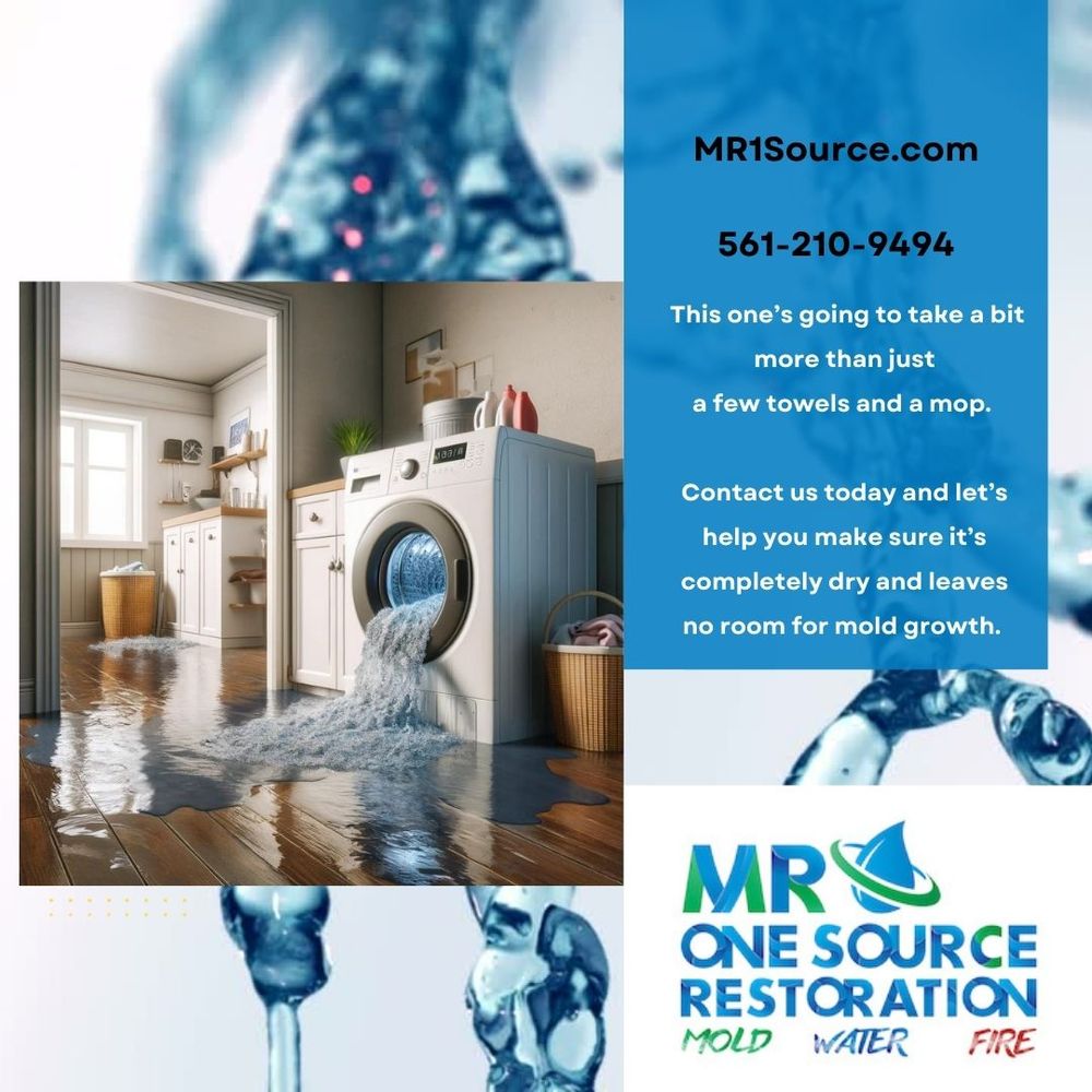 MR ONE SOURCE RESTORATION - Updated May 2025 - 40 Photos - 600 Capital ...