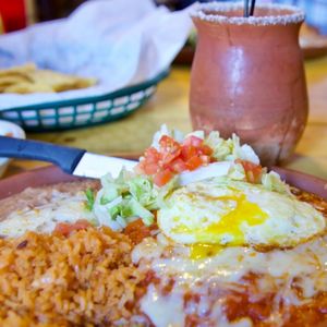 LAZY GATOR - Updated October 2025 - 150 Photos & 220 Reviews - 6103 ...