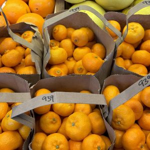 BI-RITE MARKET - Updated December 2024 - 53 Photos & 16 Reviews - 2140 ...