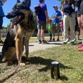 JOXER DALY’S - Updated October 2024 - 170 Photos & 470 Reviews - 11168 ...