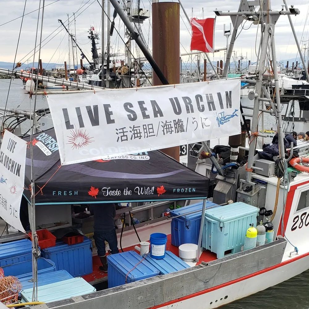 STEVESTON FISHERMAN’S WHARF - Updated September 2025 - 631 Photos & 50 ...