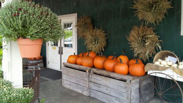 THE CARROT BARN - 55 Photos & 43 Reviews - 5605 State Rt 30, Schoharie ...