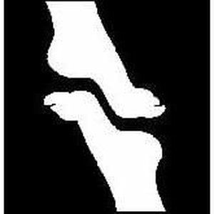 CASCADE FOOT CENTER - Updated June 2025 - 3474 Liberty Rd S, Salem ...