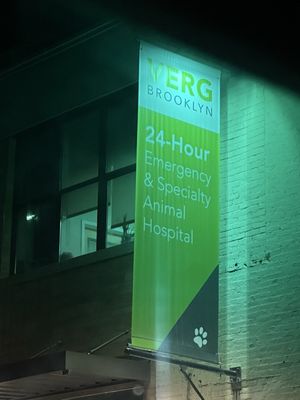 VERG - Updated June 2026 - 142 Photos & 689 Reviews - 196 4th Ave ...