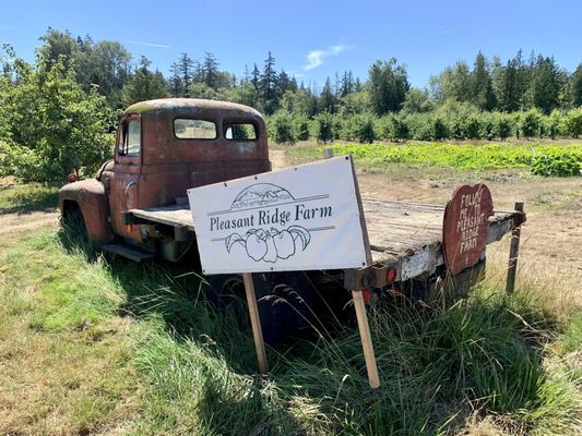 PLEASANT RIDGE FARM - Updated December 2025 - 28 Photos - 19166 ...