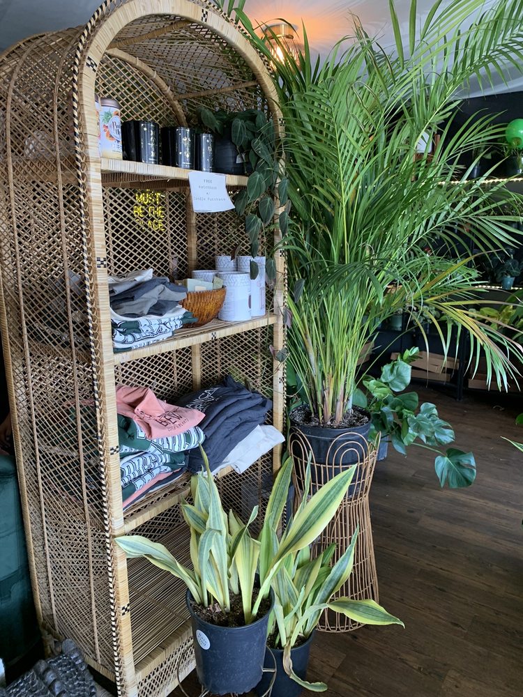 BOTANICAL BREW - Updated September 2025 - 26 Photos & 10 Reviews - 109 ...