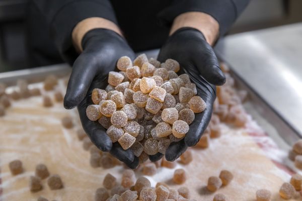 INSA CANNABIS DISPENSARY - EASTHAMPTON - Updated May 2025 - 33 Photos ...