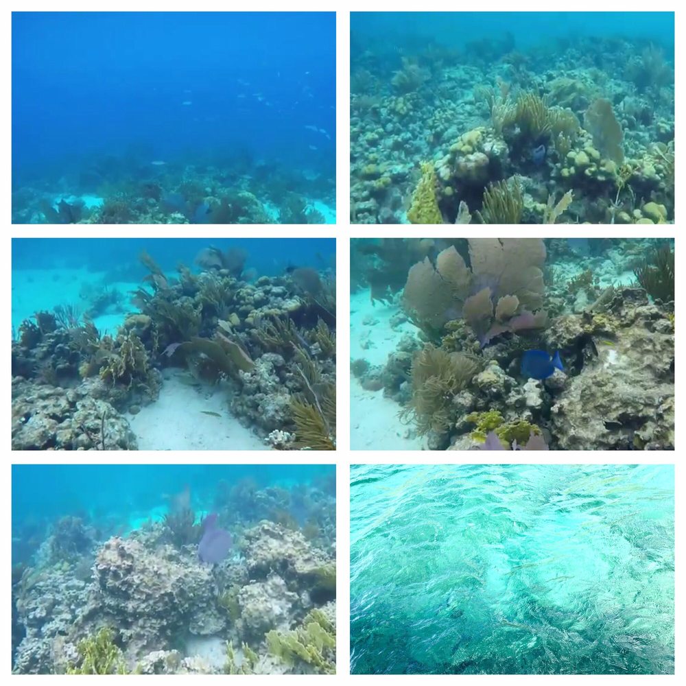 DIAMOND REEF - Updated May 2025 - Grand Camanoe, Northside, Virgin ...