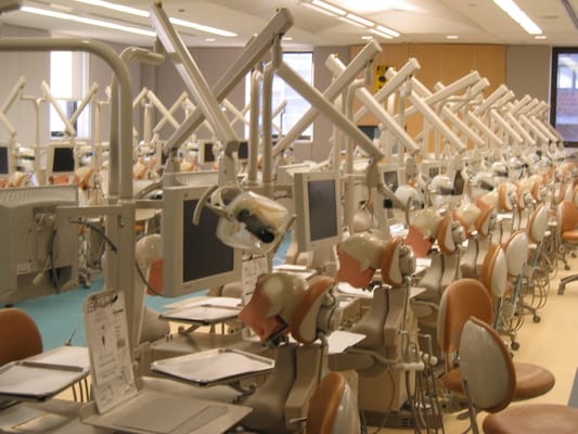 NYU COLLEGE OF DENTISTRY - Updated January 2026 - 49 Photos & 230 ...