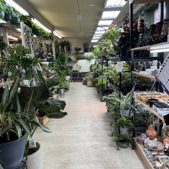 KENT EAST HILL NURSERY - Updated October 2025 - 193 Photos & 121 ...