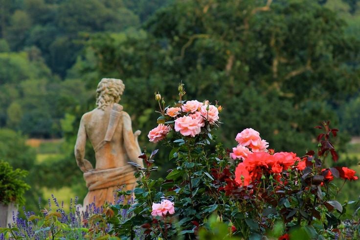 PYNES HOUSE - Updated December 2024 - 11 Photos - Upton Pyne, Exeter ...