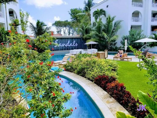 UNIQUE VACATIONS - Updated May 2026 - 29 Reviews - 4950 SW 72nd Ave ...