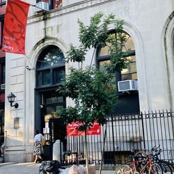 NEW YORK PUBLIC LIBRARY - TOMPKINS SQUARE LIBRARY - 22 Photos & 35 ...