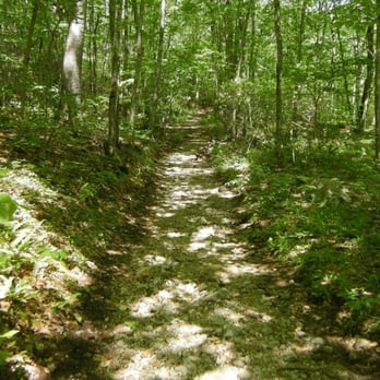 BEN UTTER TRAIL - Updated August 2025 - 89 Photos & 15 Reviews - Exeter ...