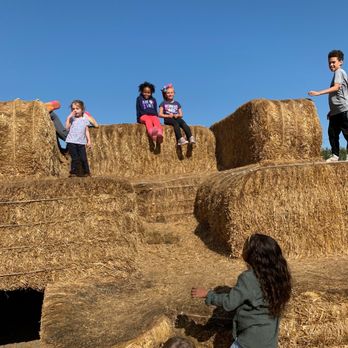 THE APPLE WORKS - Updated September 2024 - 322 Photos & 92 Reviews ...