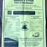 HALLOCK’S U-PICK FARM & GREENHOUSE - 42 Photos & 15 Reviews - 38 ...