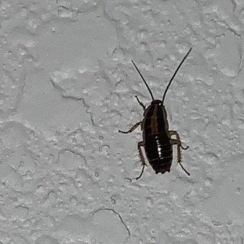 POINT GUARD MANAGEMENT - Updated July 2024 - 31 Photos & 20 Reviews ...