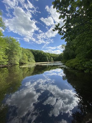 WHIPPLE HILL - Updated July 2025 - 17 Photos - 1625 Massachusetts Ave ...
