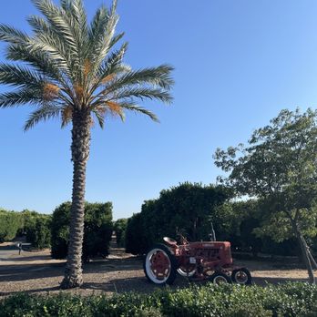 GLESS RANCH - Updated December 2025 - 389 Photos & 197 Reviews - 19985 ...