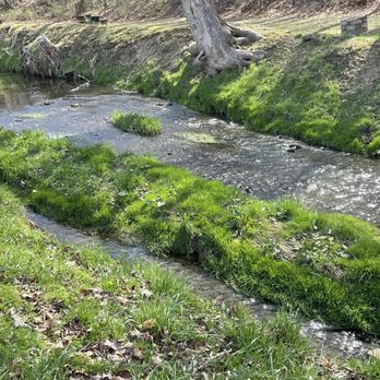 BLUEFIELD CITY PARK - Updated August 2025 - 13 Photos - 351 Industrial ...