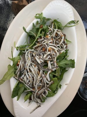 THE TEN BELLS - 214 Photos & 483 Reviews - 247 Broome St, New York, NY ...