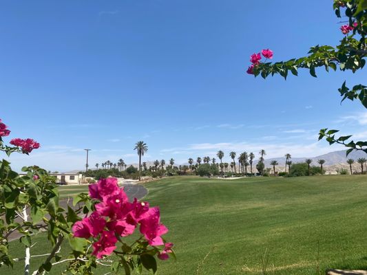 THE GOLF CLUB AT TERRA LAGO - Updated July 2025 - 140 Photos & 167 ...