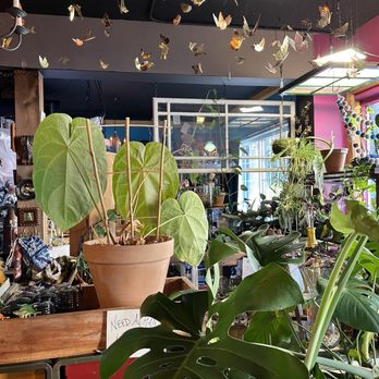 FABLE - Updated December 2025 - 116 Photos & 26 Reviews - 96 Ctr St ...