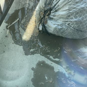 REDPOINT BATON ROUGE - Updated October 2025 - 24 Photos & 48 Reviews ...