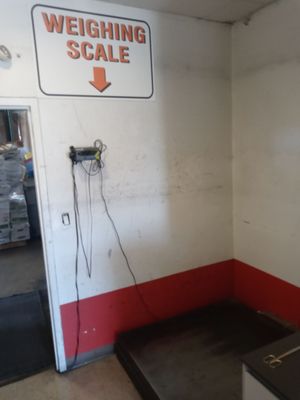 SHRED TIME - Updated January 2026 - 52 Photos & 267 Reviews - 5451 W ...