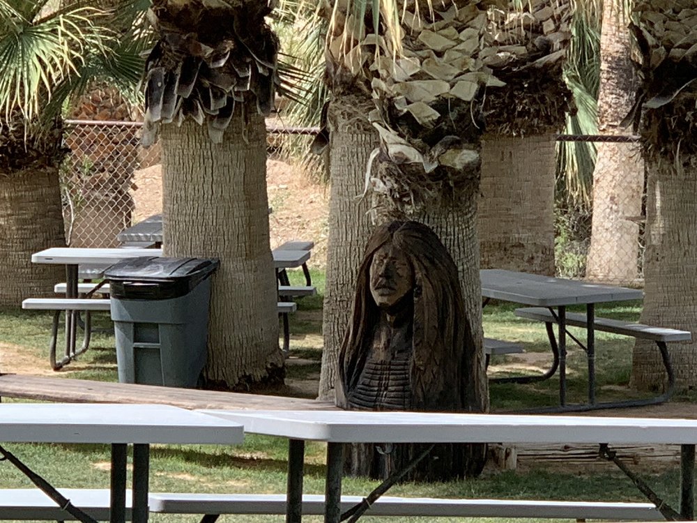 PALM CREEK RV RESORT AND PICNIC GROUNDS - 41 Photos & 23 Reviews ...