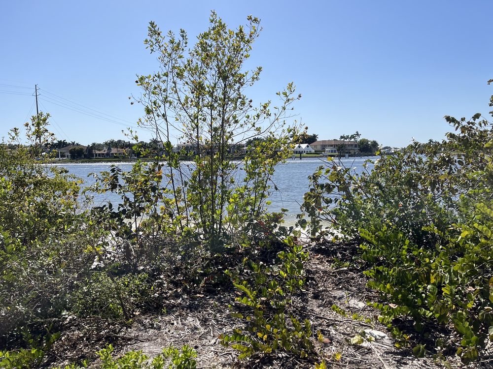 JUPITER RIDGE NATURAL AREA - Updated May 2026 - 91 Photos - 1800 South ...