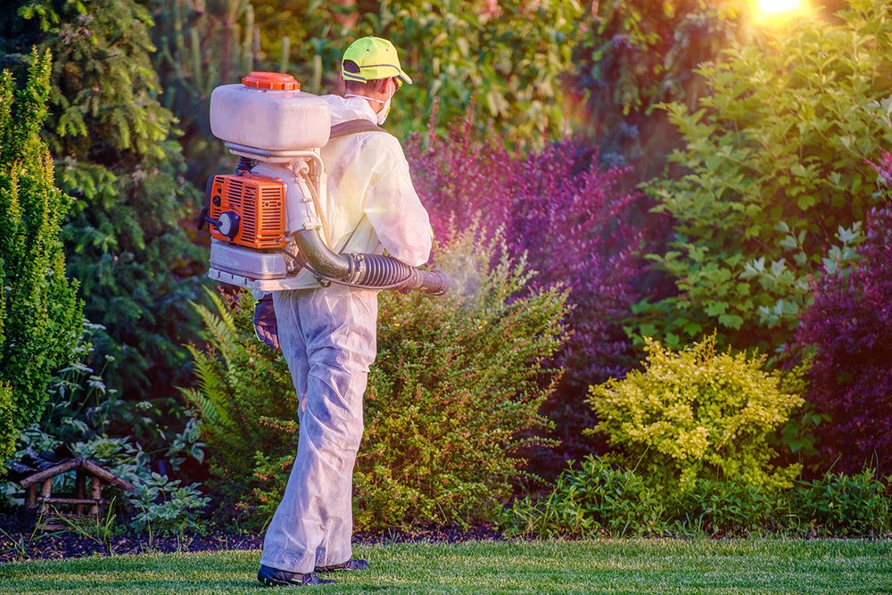 STATEN ISLAND MOSQUITO CONTROL - Staten Island, New York - Pest Control ...