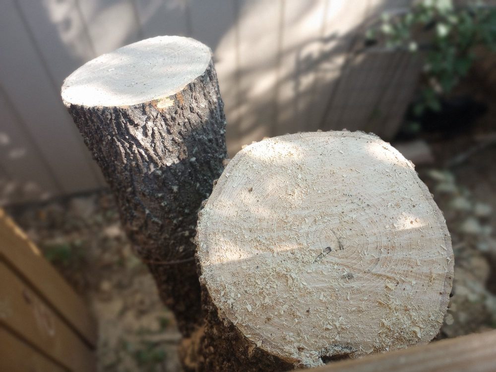 SUPREME TREE SERVICE - Updated June 2026 - 15 Photos - Fort Worth ...