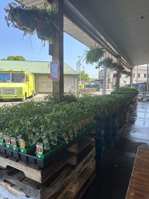 PETE’S FRUIT MARKET - Updated June 2025 - 109 Photos & 56 Reviews ...