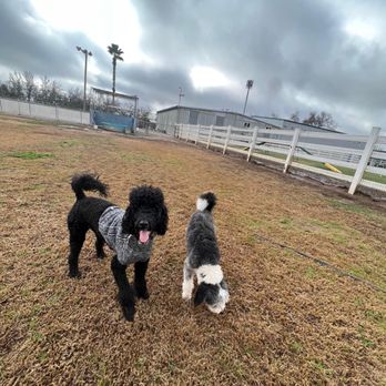 CR RANCH PET-O-TEL - Updated December 2025 - 147 Photos & 79 Reviews ...