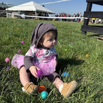 ECKERT’S ORCHARD - Updated January 2026 - 135 Photos & 64 Real Reviews ...