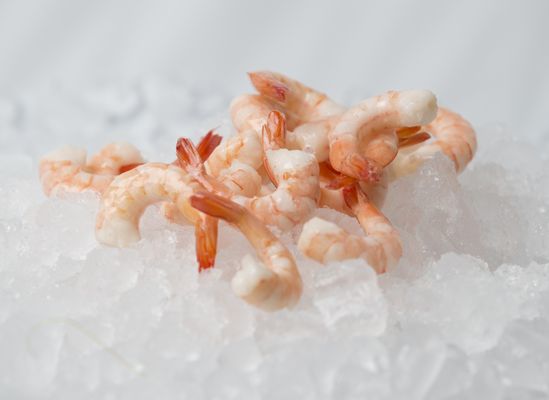 MELBOURNE SEAFOOD MARKET - Updated December 2025 - 22 Photos - 542 ...