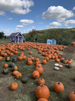 APPLE RIDGE ORCHARDS - Updated August 2024 - 203 Photos & 87 Reviews ...