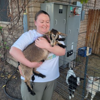 AMADIO RANCH FARM STORE - Updated May 2025 - 225 Photos & 160 Reviews ...