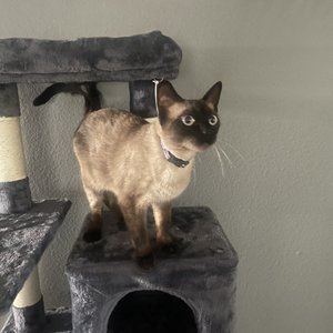 HESPERIA LIBRARY - Updated August 2025 - 14 Photos & 30 Reviews - 9650 ...